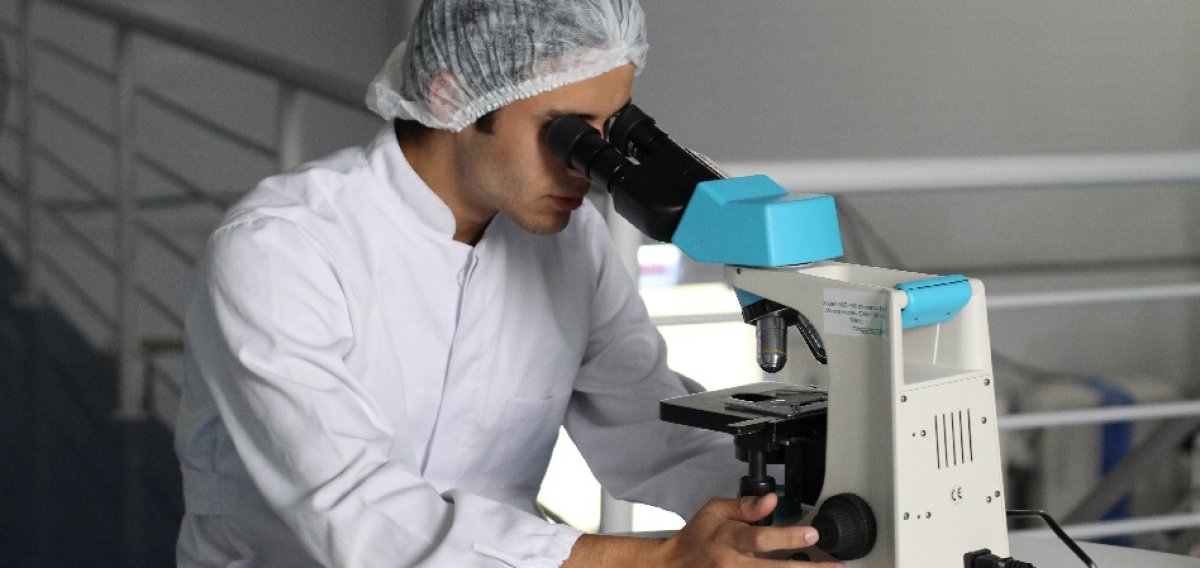 La huella del capital en sanidad: de las ‘biotech’ a los nuevos modelos ...